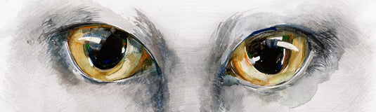 Animal Art | Wall Art Prints